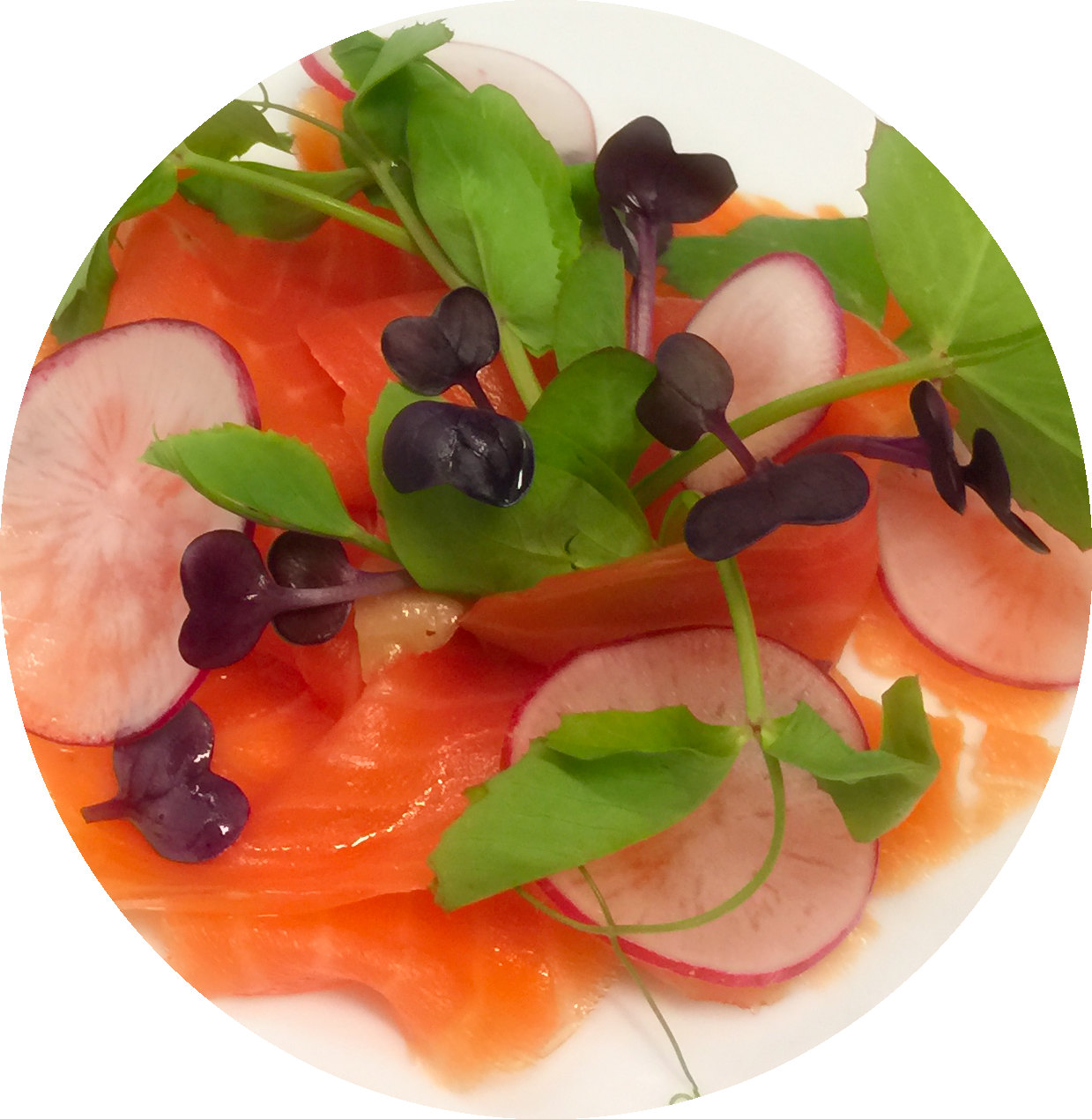 About Ed's Kitchen Melbourne